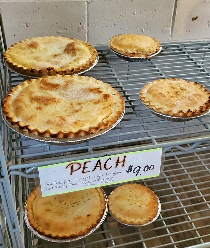 Pie oh my! These golden-crusted beauties are giving me major "life of pie" vibes. Peach cobbler, anyone?