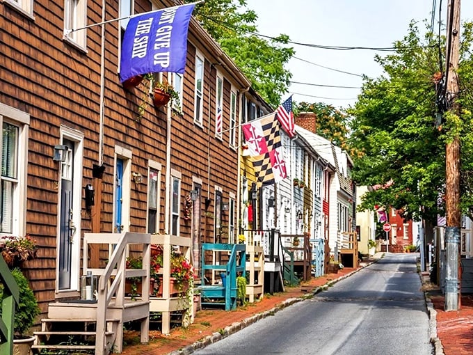 Stars, stripes, and rainbow hues: Annapolis's streets are a kaleidoscope of charm. Where every house tells a story, and every flag waves a warm welcome.