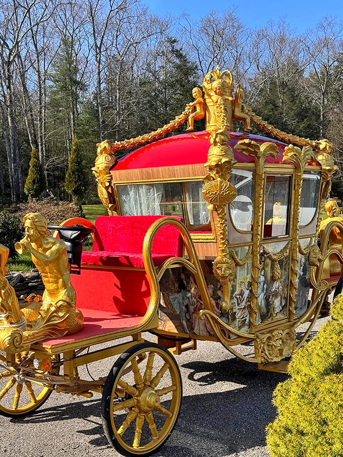 Cinderella's pumpkin carriage got an upgrade! This golden chariot is perfect for when you need to flee the ball at midnight.