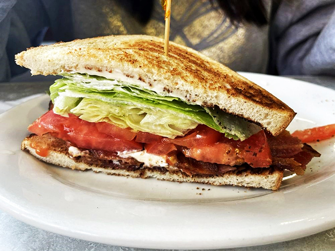 Sandwich perfection achieved! Crisp lettuce, juicy tomatoes, and savory fillings nestled between toasty bread slices &ndash; it's a handheld flavor fiesta.