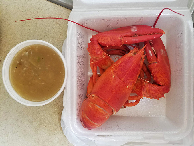 Simplicity at its finest: a steamed lobster that looks ready to star in its own seafood blockbuster. Butter not included, but highly recommended for the full experience.