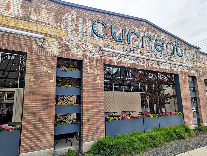 Current Fish & Oyster: Where industrial chic meets maritime charm. It's like stepping into a ship captain's loft apartment, but with better food.