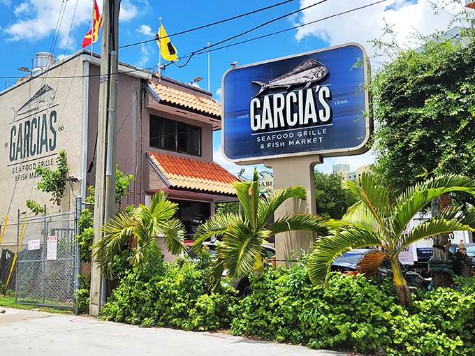 Spanish charm meets fresh-off-the-boat flavor. Garcia's grilled whole fish is so good, it might just swim off your plate!