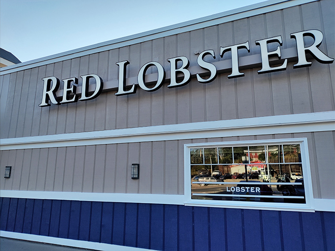 Red Lobster: Because sometimes you just need a familiar port in the seafood storm. Comfort food of the sea, ahoy!