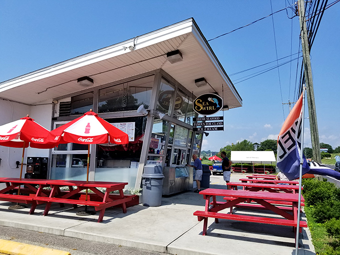 Sea Swirl: Retro vibes, modern flavors! This Mystic marvel proves good things come in small, seafood-packed packages.