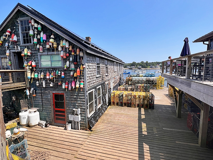 "Thurston's screams 'authentic Maine' louder than a foghorn. Those colorful buoys? They're not just decor, they're a lobster's guest list."