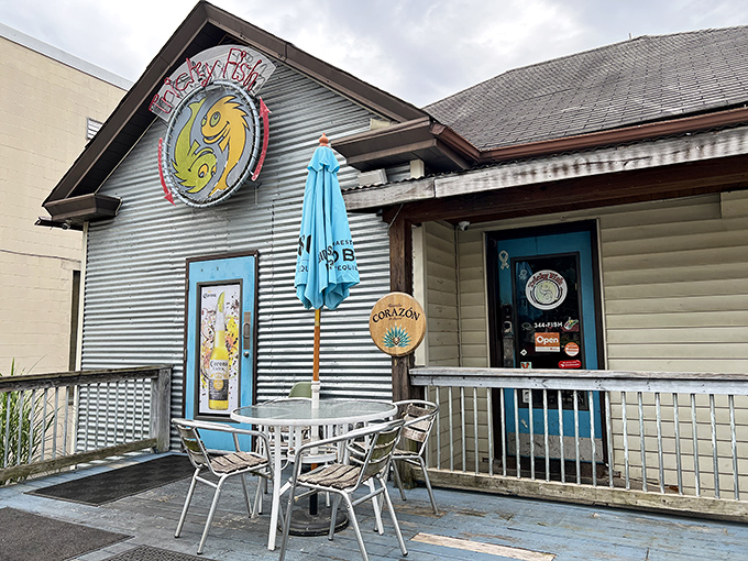 Tricky Fish: Where beach vibes meet mountain charm. It's like your favorite coastal shack decided to take a permanent Appalachian vacation.