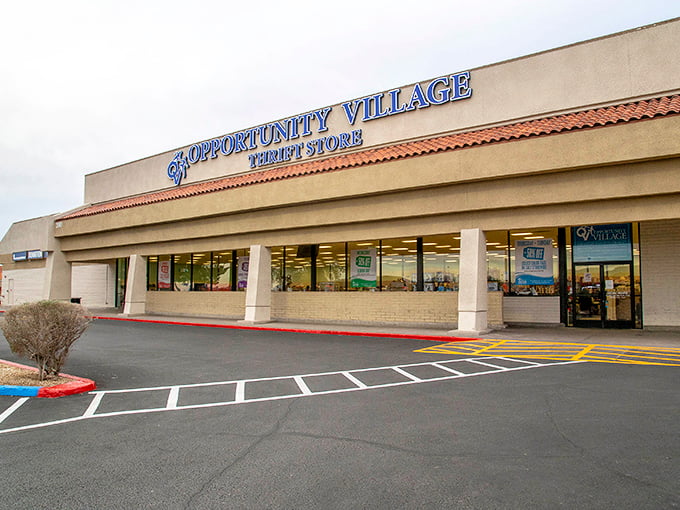 Welcome to Deseret Industries, where one person's "meh" is another's "marvelous!" Prepare for a thrifting adventure.
