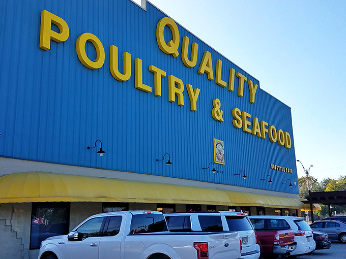 From shore to store to stomach: Quality Poultry & Seafood is where freshness meets flavor in a no-frills seafood extravaganza.