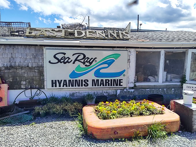 Sun, sand, and seafood! Sesuit Harbor Cafe turns simple pleasures into gourmet experiences. Who needs white tablecloths when you've got ocean breezes?