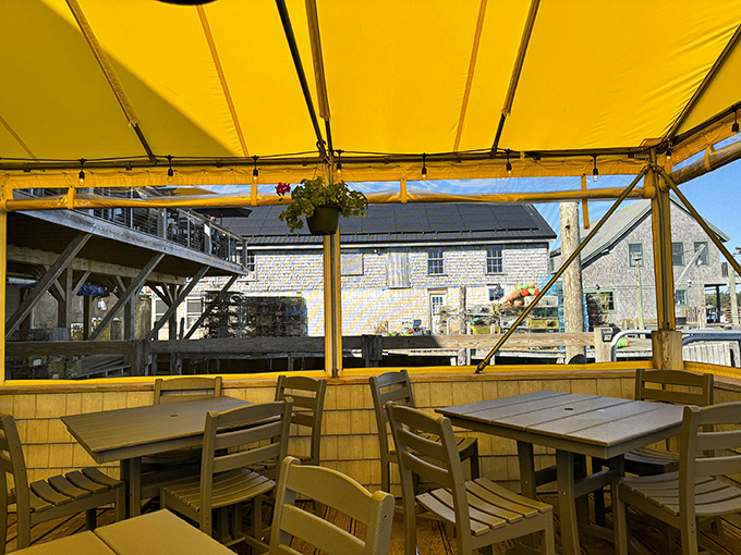 "Dining at Thurston's is like eating on the edge of the world. With views this good, even the lobsters probably don't mind their fate."