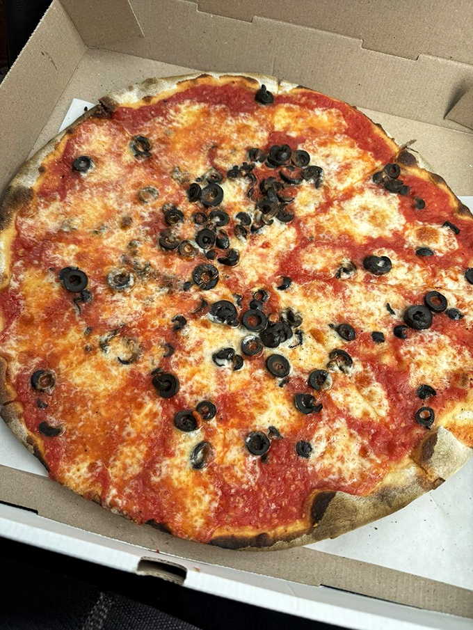 Olive you need is love... and this black olive cheese pie. It's a salty, savory symphony that hits all the right notes.