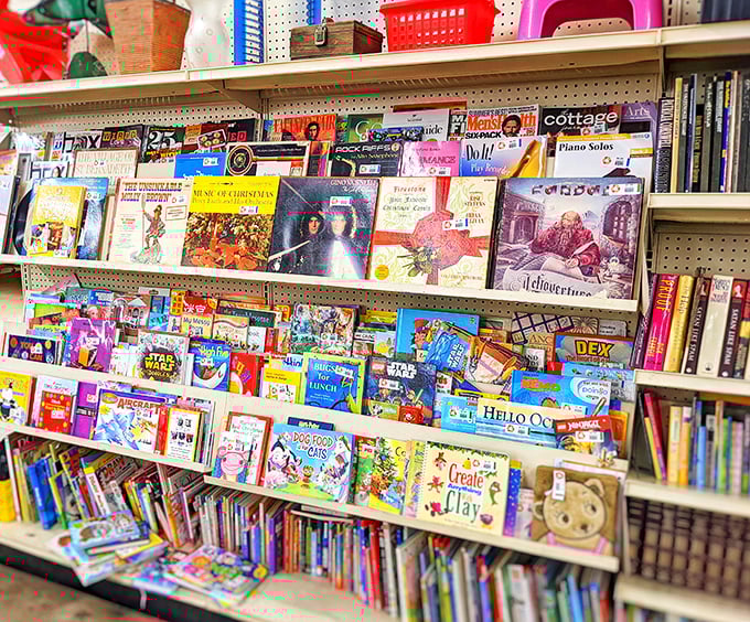 A literary feast for the eyes! From bodice-rippers to brain-teasers, this book selection is more diverse than a UN assembly.