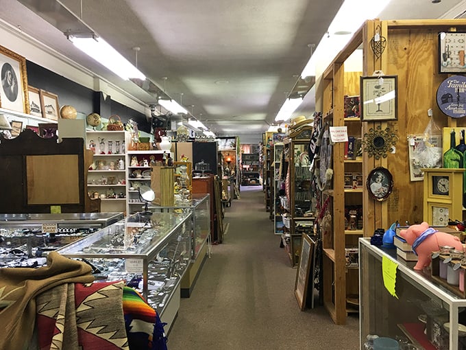 Marie Kondo's nightmare or a collector's dream? These meticulously arranged shelves are a testament to the art of organized chaos.