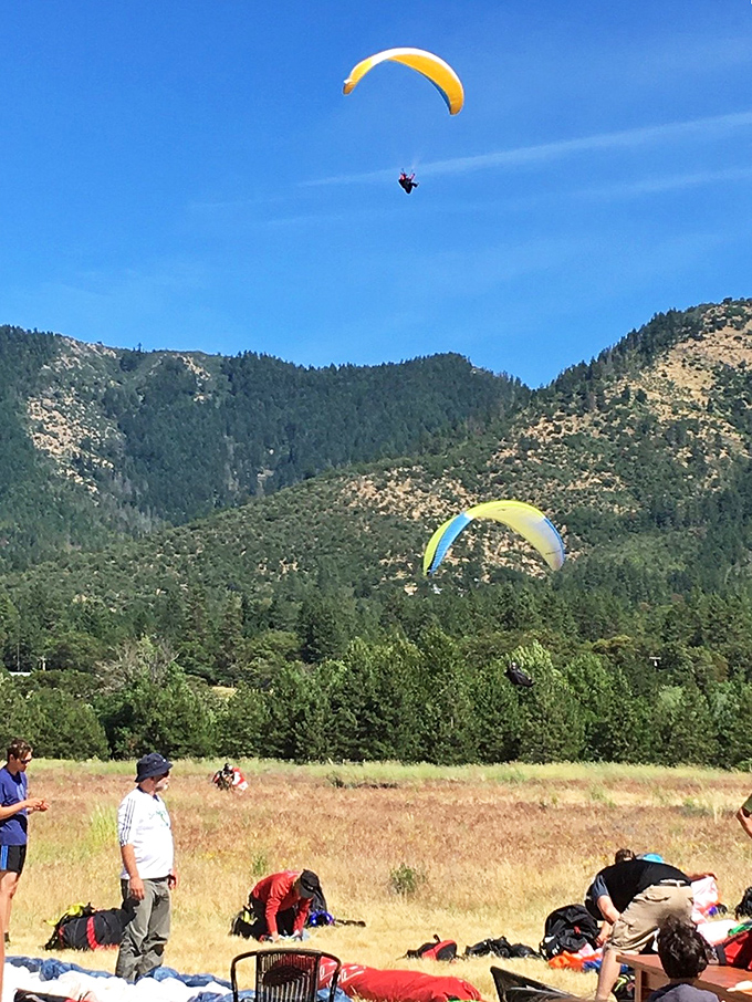 Look, up in the sky! It's a bird, it's a plane... it's paragliders living their best life. Talk about a room with a view!