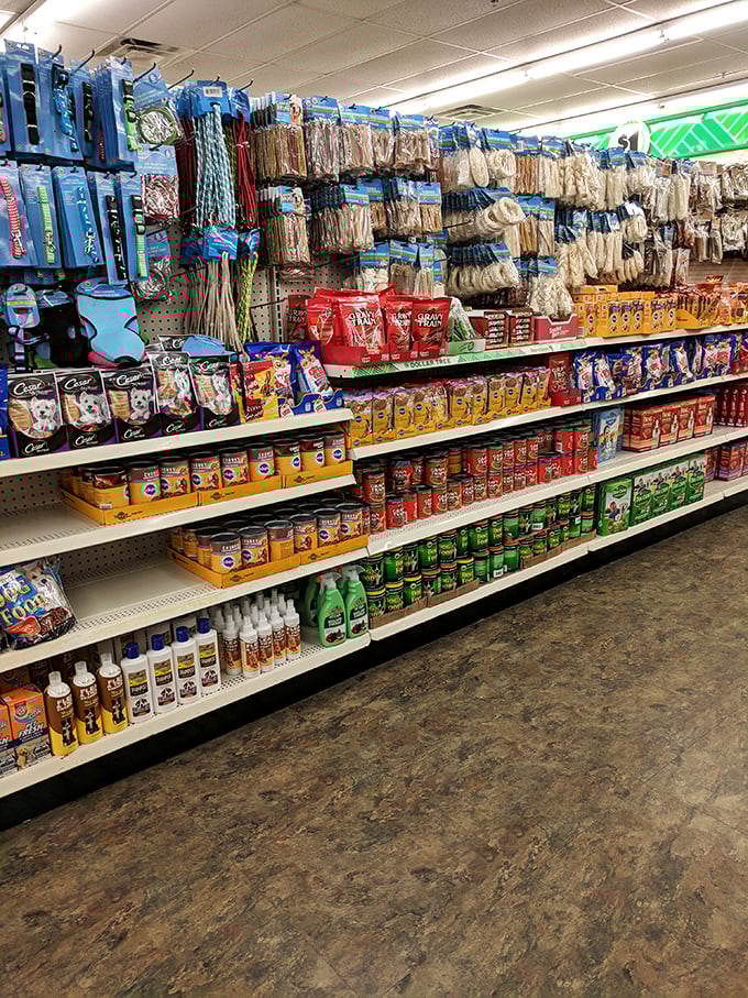 Fur babies, rejoice! This pet aisle proves you can spoil your four-legged friends without putting your finances in the doghouse.