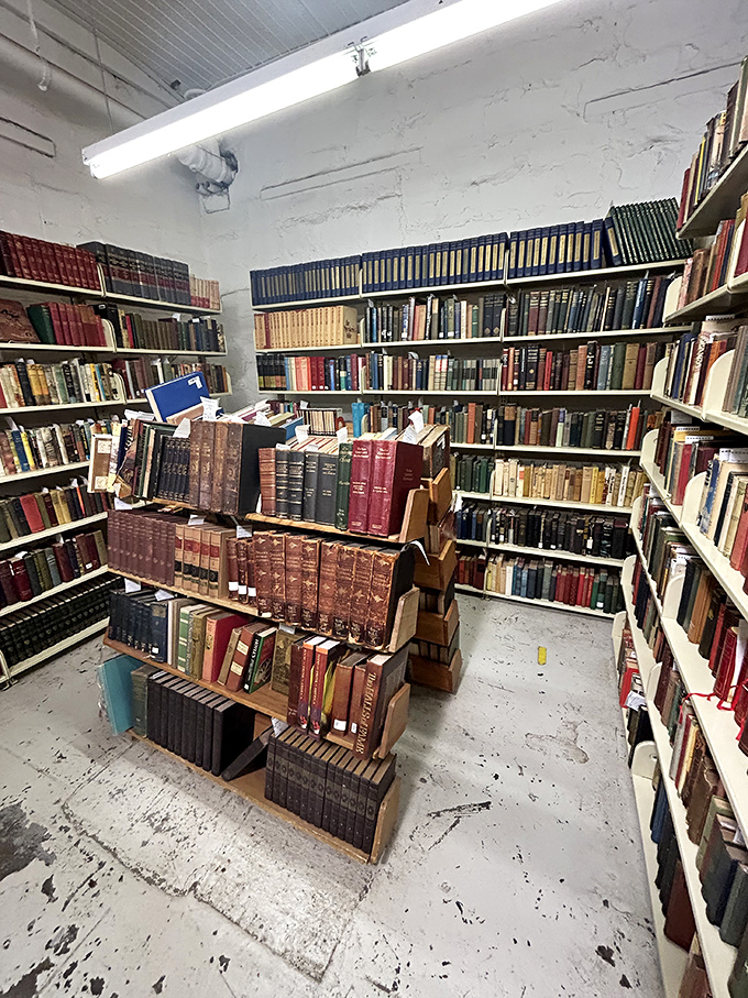 History buffs, rejoice! These shelves are like a time machine, ready to transport you to any era you fancy.