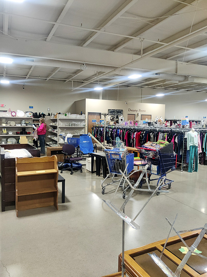 Treasure hunters in their natural habitat. Watch as they navigate the aisles with the precision of seasoned explorers.