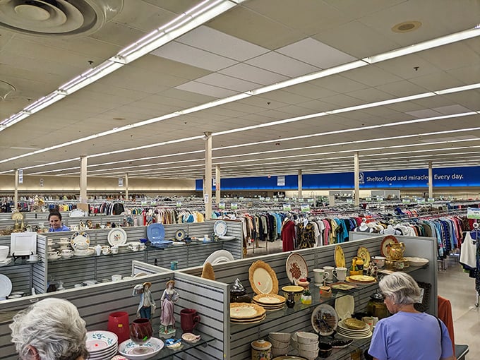 Treasure hunters in their natural habitat. Watch as they navigate the aisles with the precision of seasoned explorers.