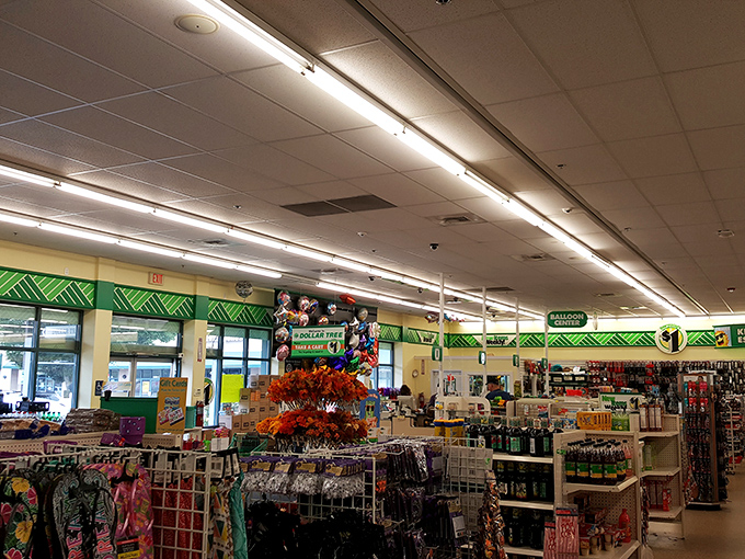 Aisle after aisle of possibility! It's like Mary Poppins' bag, but instead of a lamp, you might find a... well, a lamp for a dollar.