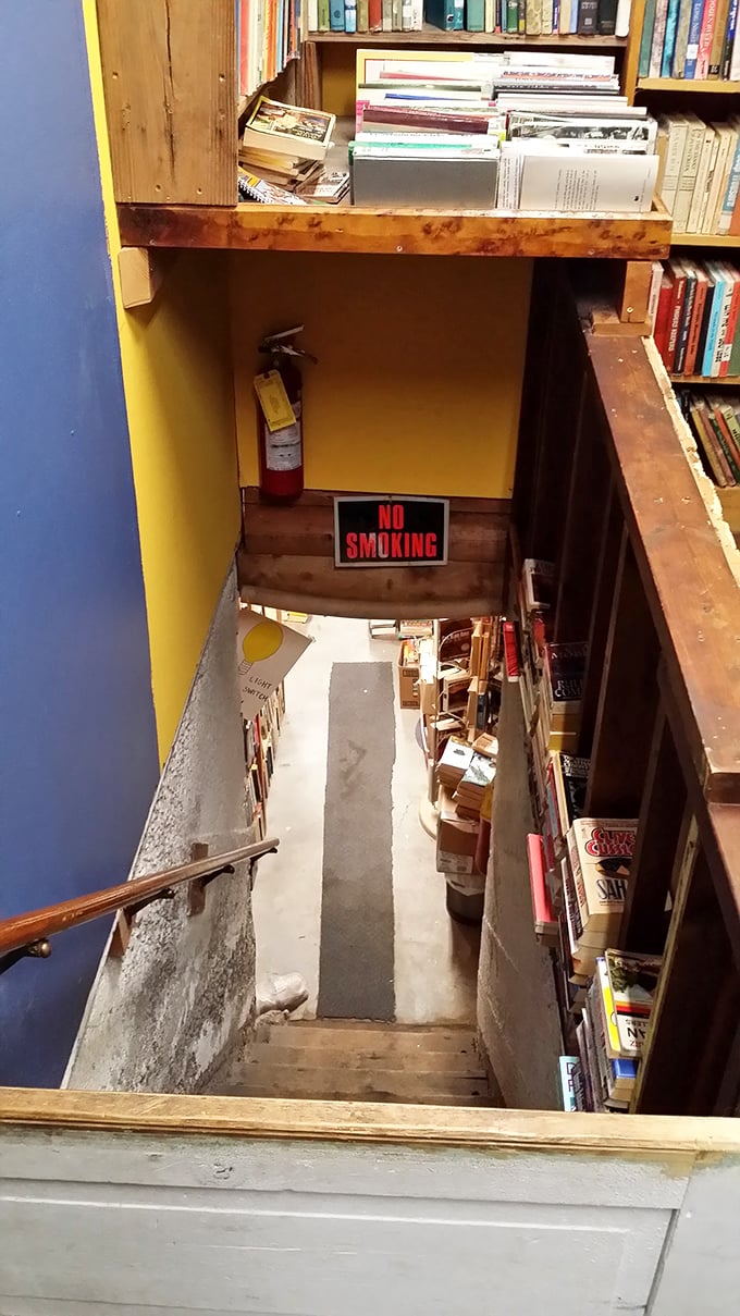 Stairway to heaven? More like stairway to more books! This descent promises a plot twist worthy of M. Night Shyamalan.