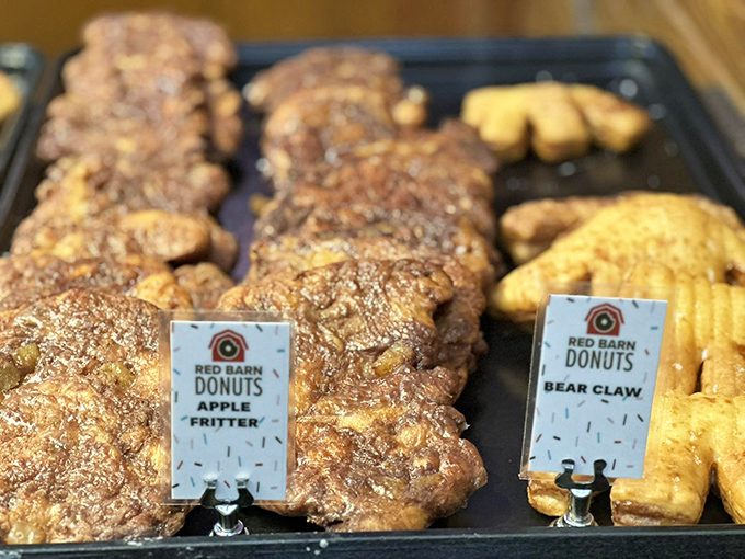 The apple fritters and bear claws stand at attention, properly labeled like the celebrities they are in the pastry world.
