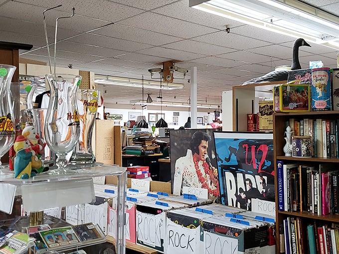 Vinyl paradise! These groovy stacks aren't just records; they're time capsules of melodies, memories, and maybe a few regrettable hairstyles.