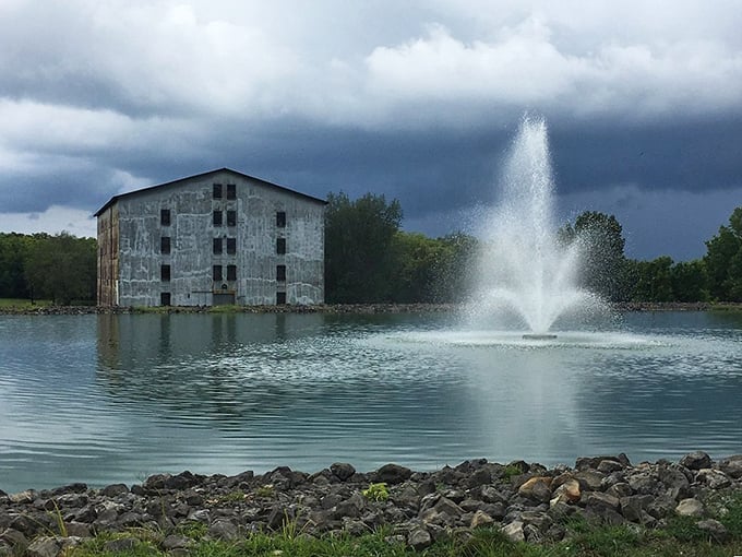 Willett Distillery: Where bourbon barrels go to fulfill their destiny. It's like summer camp, but with more alcohol and fewer sing-alongs.