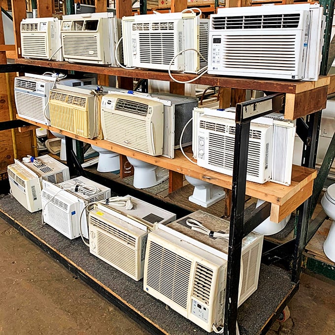 Cool finds, literally! These AC units are ready to chill your home faster than you can say "heatwave."