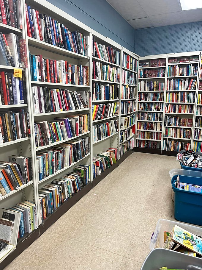 "Bookworm's paradise! Dive into these shelves and resurface with your next literary adventure – or ten."