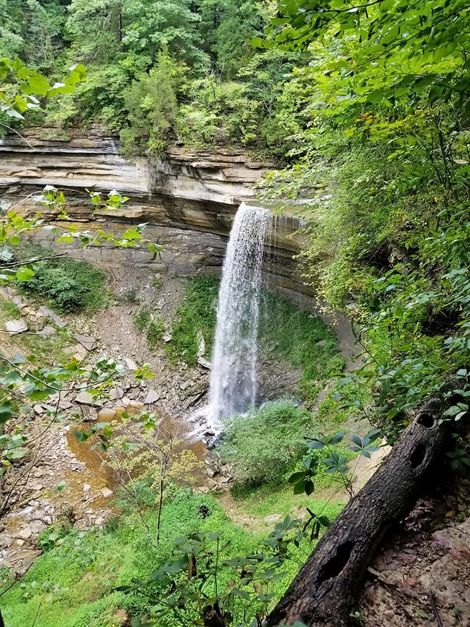 Clifty Falls plunges dramatically through limestone cliffs, nature's original waterfront property just minutes from Madison's historic downtown.