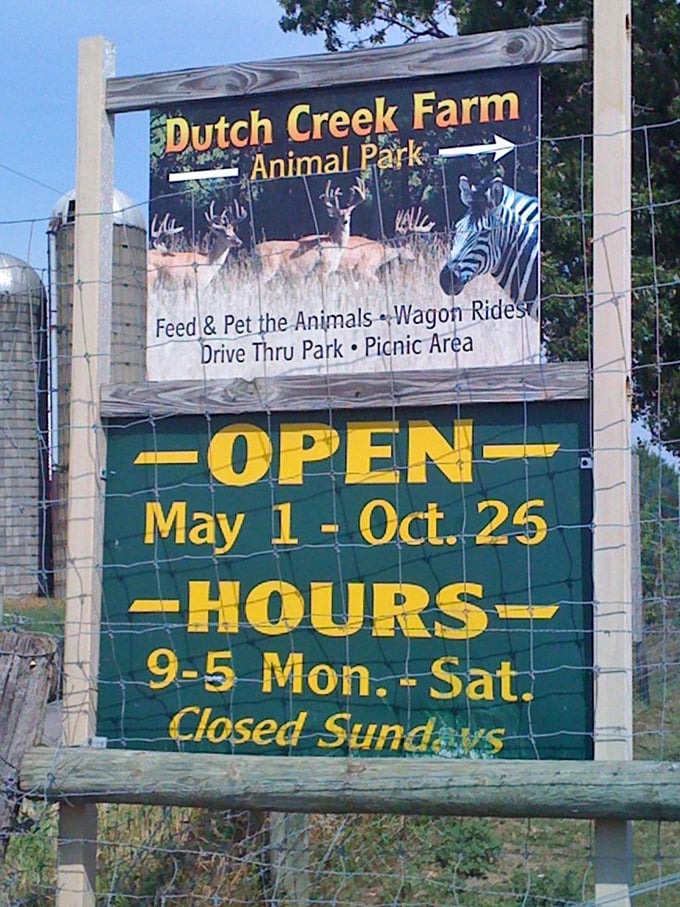 Dutch Creek Farm: where Old MacDonald's wildest dreams come true. Get ready to feed, pet, and possibly befriend your future dinner (just kidding, maybe).