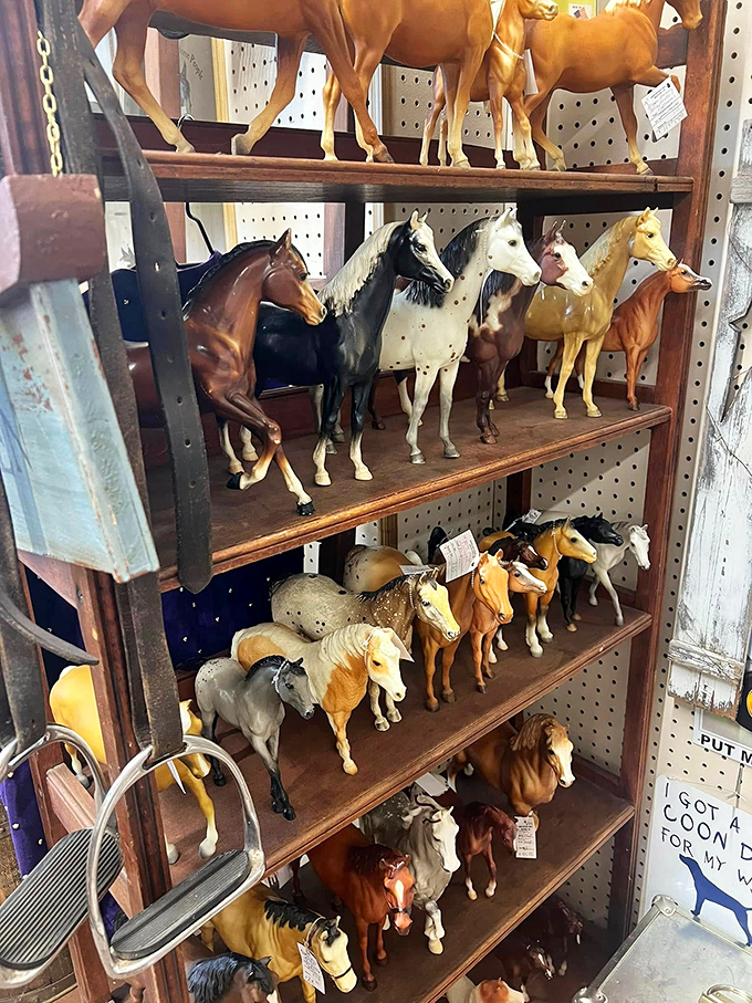 Giddy up, collectors! This herd of vintage horse figurines is chomping at the bit to gallop into your home.