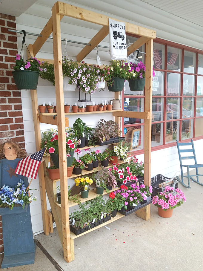 Nature meets nurture in this floral fantasia! It's as if Mother Nature decided to open her own antique booth, complete with a patriotic twist.