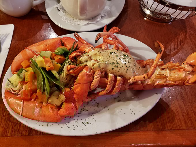 This lobster looks ready for its close-up! Hollywood glamour meets maritime deliciousness on a plate.