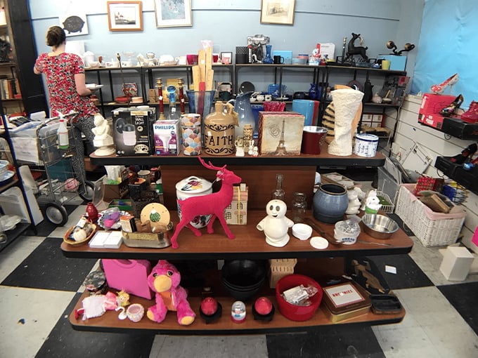 A hodgepodge of happiness! This eclectic mix of items proves that one person's castoff is another's must-have treasure.