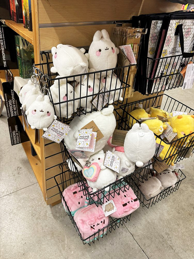 Molang plush toys: because sometimes you need a cuddly reading buddy. They're like literary cheerleaders, but fluffier and less noisy.