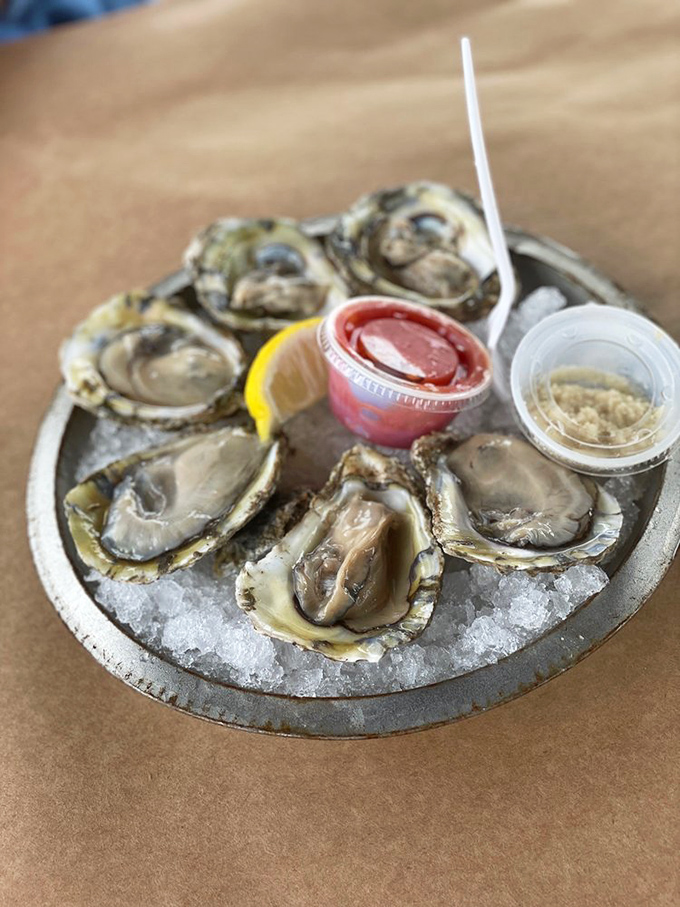 Oysters on ice: nature's briny shot glasses. These slippery little delights are ready to slide down the hatch and into seafood history.