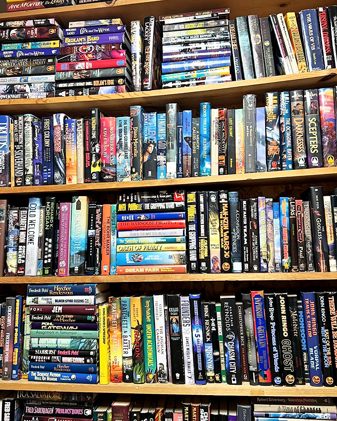 Beam me up, Scotty! This sci-fi section is your ticket to explore strange new worlds and boldly go where no reader has gone before.