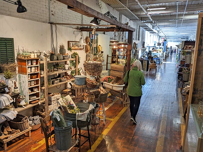 Treasure hunters in their natural habitat. Watch as they navigate the aisles with the focus of Indiana Jones and the enthusiasm of kids in a candy store.