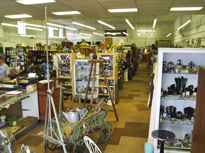 Welcome to the ultimate game of "I Spy." Can you spot the perfect piece to complete your collection? The hunt is on!