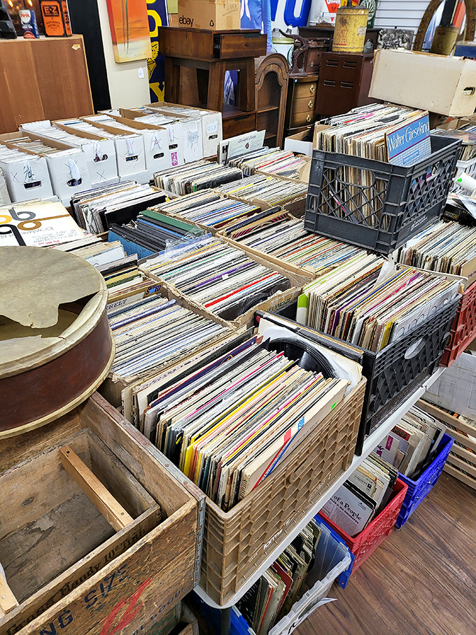 Vinyl paradise! Dive into these crates and emerge with the soundtrack to your misspent youth &ndash; or someone else's.