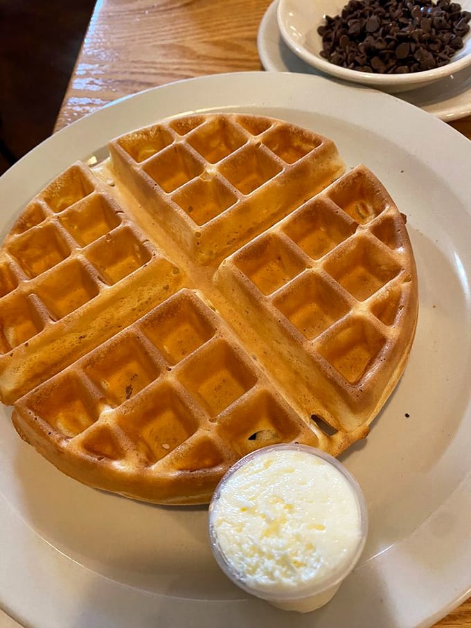 Waffle perfection achieved! Golden, crispy, and ready for its syrupy waterfall, this waffle is the breakfast equivalent of winning the lottery.