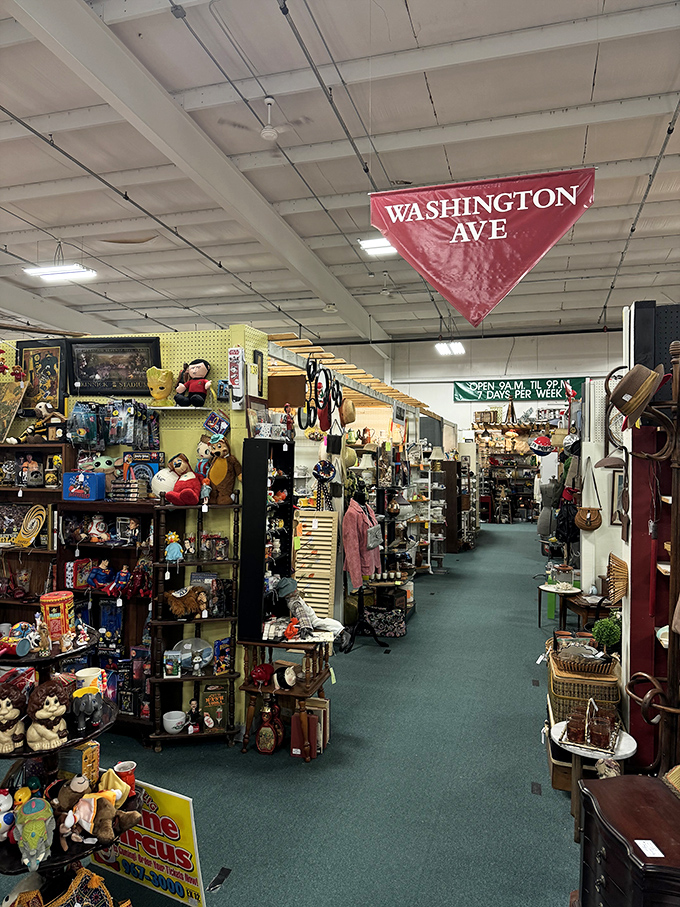 Welcome to Washington Ave, where every turn is a trip down memory lane. It's like Main Street, USA, but with more tchotchkes and fewer tourists.