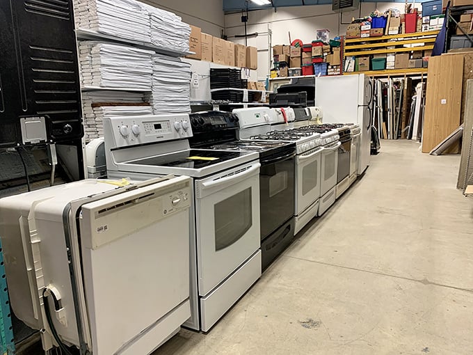 Appliance shopping: where "Does it spark joy?" meets "Can it reheat my leftovers?" These kitchen workhorses are ready for action!