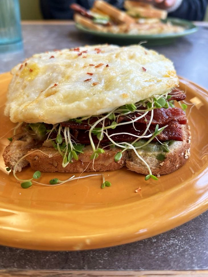 Avocado toast that's more dressed up than a penguin at a formal dinner. With microgreens and a perfect egg, it's Instagram's favorite breakfast in real life.