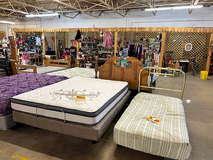 Sweet dreams are made of these! From cozy twin beds to sturdy headboards, there's a perfect perch for every Goldilocks.