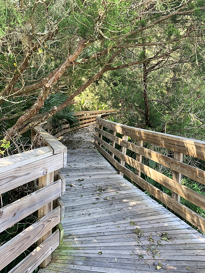 This boardwalk isn't for carnival games – it's for communing with nature, spotting wildlife, and pretending you're in a John Grisham novel.