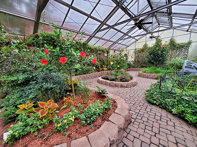 Step into a fluttering fairyland at the Butterfly House. It's like being inside a kaleidoscope, but with more wings and less geometry.