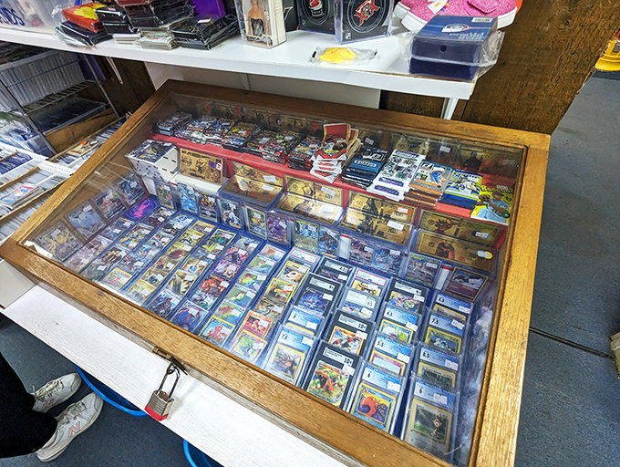 Collector's heaven or organized chaos? Either way, this display is a feast for the eyes and a challenge for the wallet.